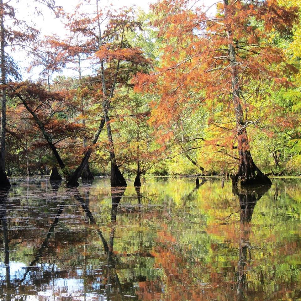 Day Trip Idea: Find Refuge at Mingo & Indian Hills Winery