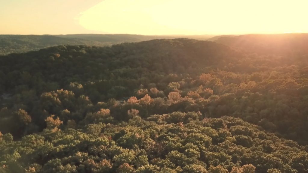 Fall Foliage in the Ozarks
